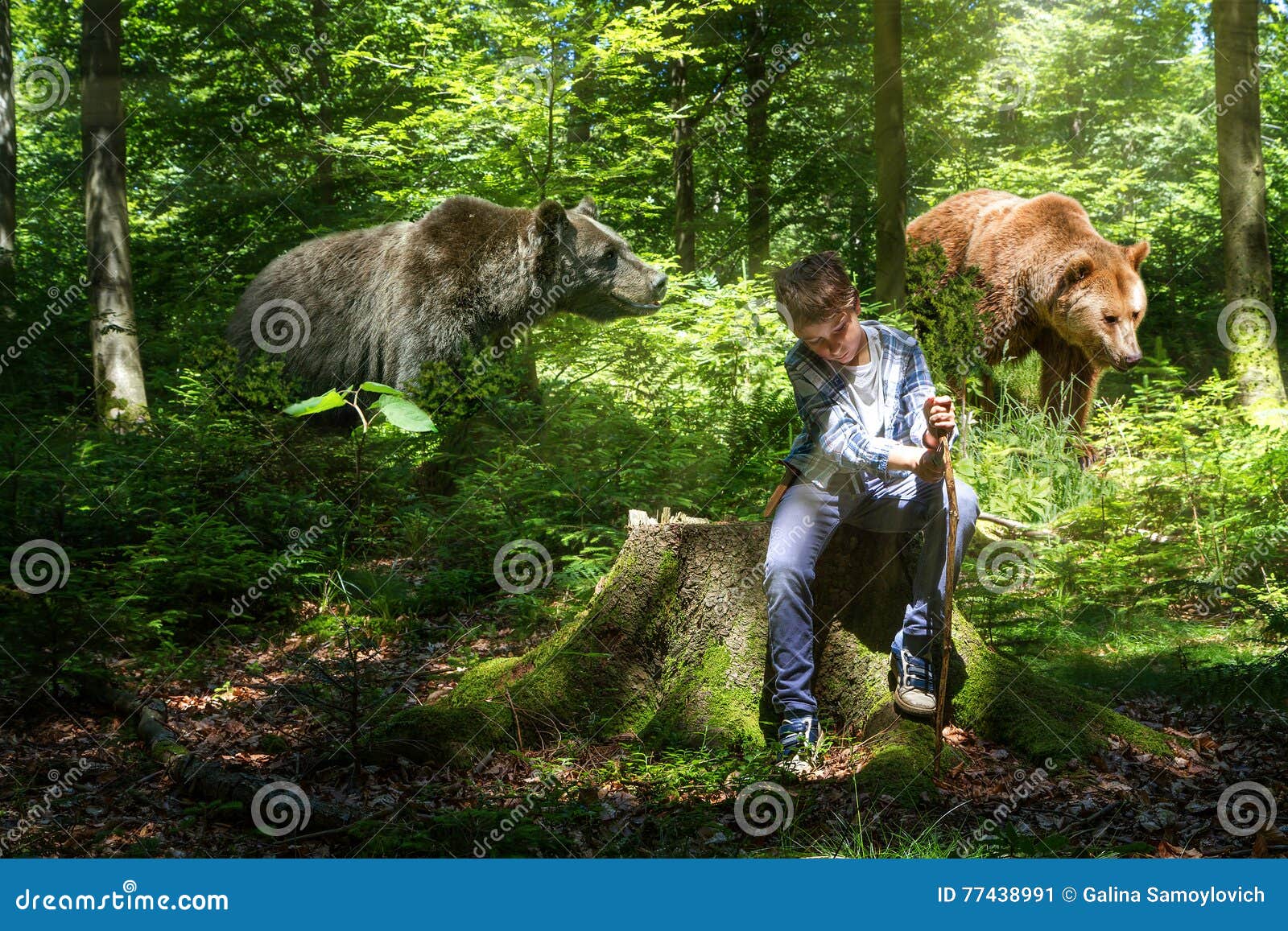 Muchacho En El Bosque Con Los Osos Imagen de archivo - Imagen de ...