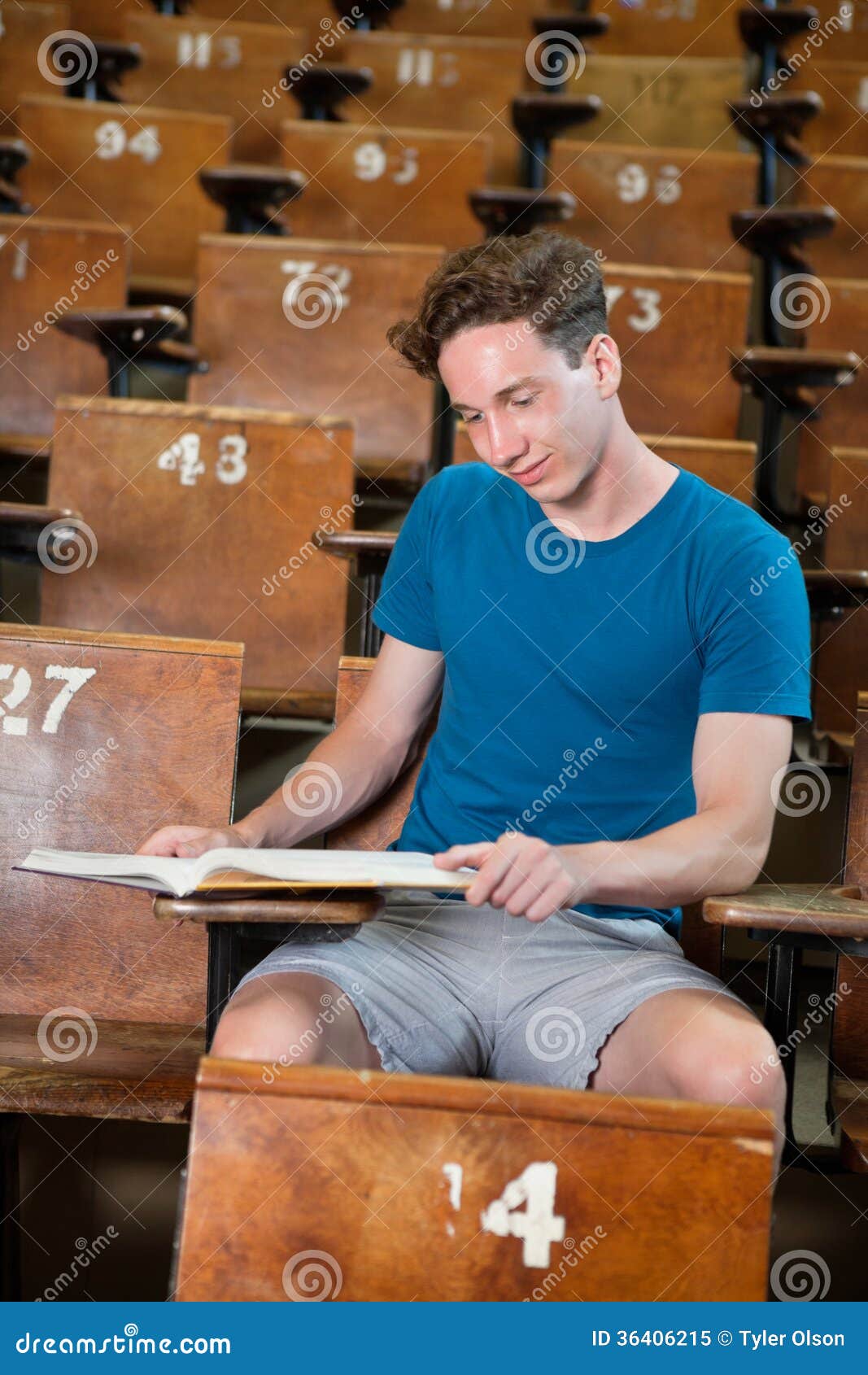 Muchacho estudioso imagen de archivo. Imagen de persona - 36406215