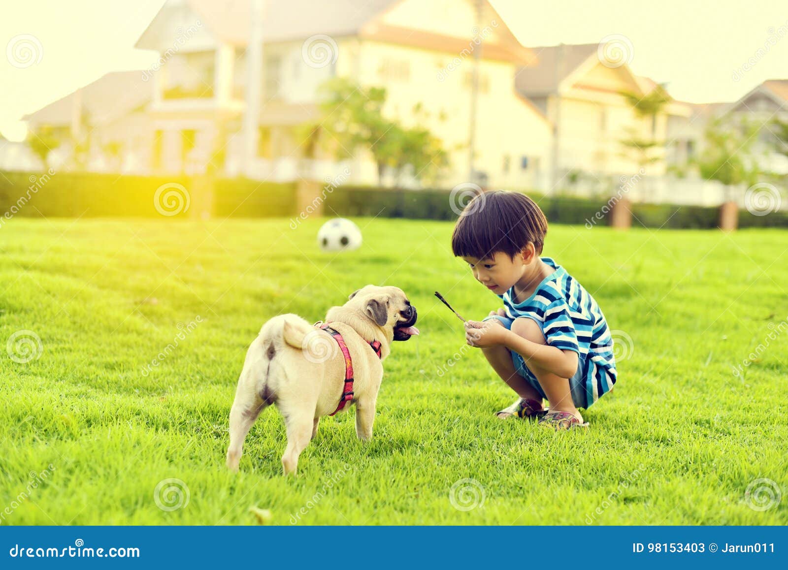 Muchacho Feliz Con El Perro Imagen de archivo - Imagen de casero ...