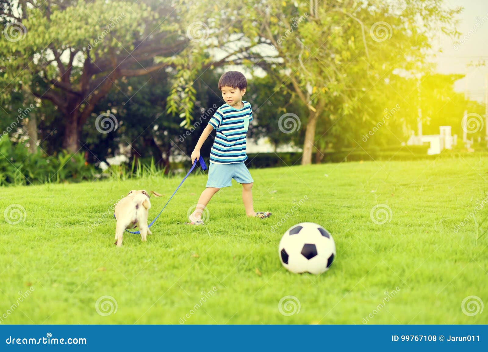Muchacho Feliz Con El Perro Foto de archivo - Imagen de amistad, alegre ...