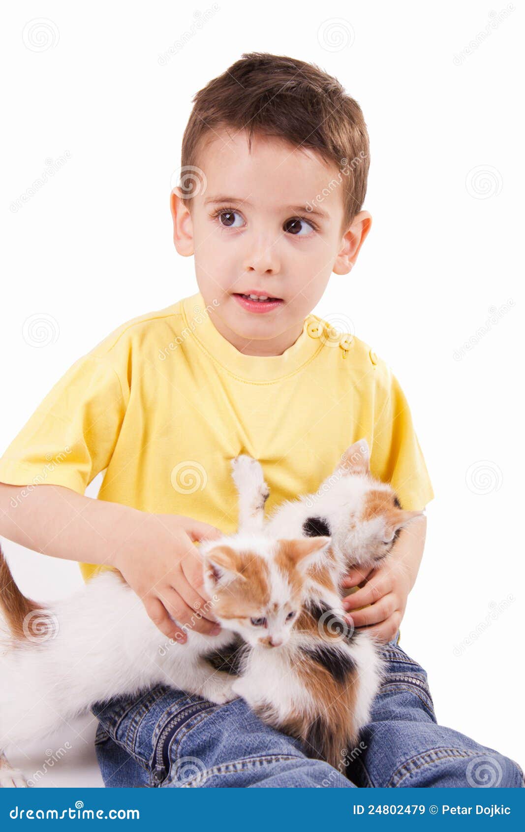 Muchacho joven con el gato imagen de archivo. Imagen de barbas - 24802479