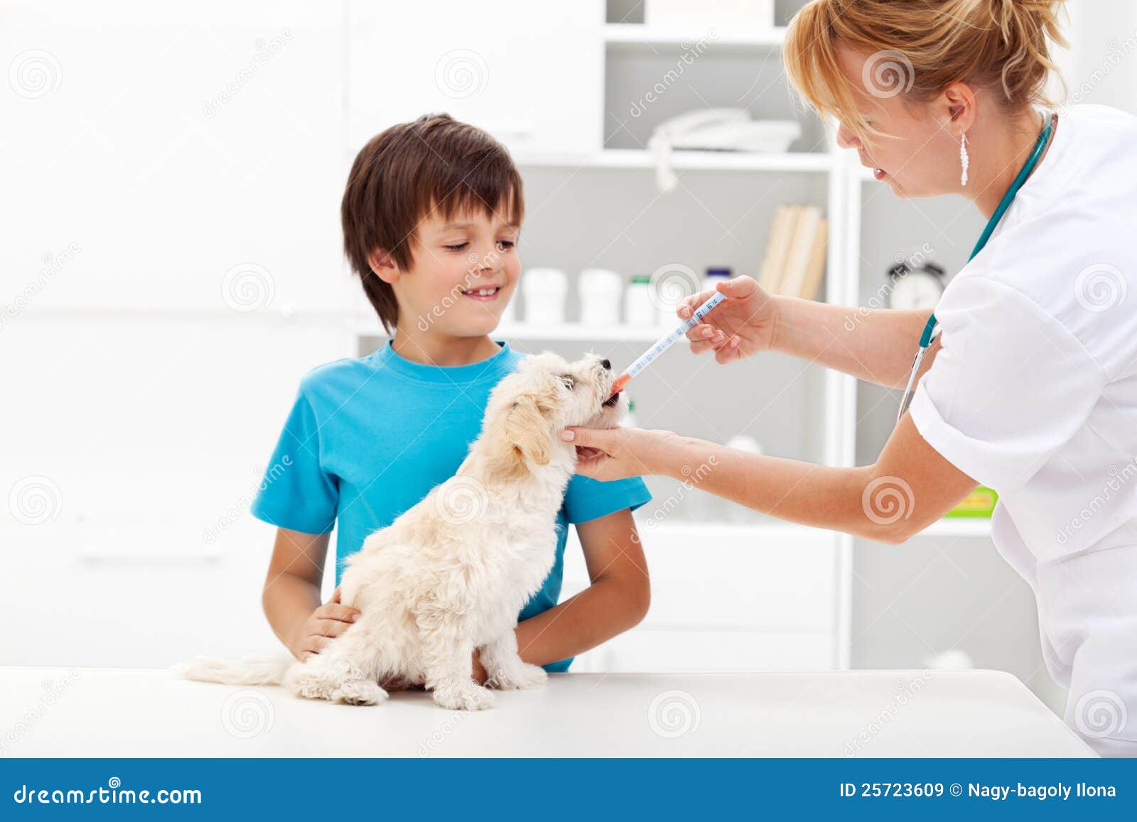 Muchacho Joven Con Su Perro En El Veterinario Imagen de archivo ...