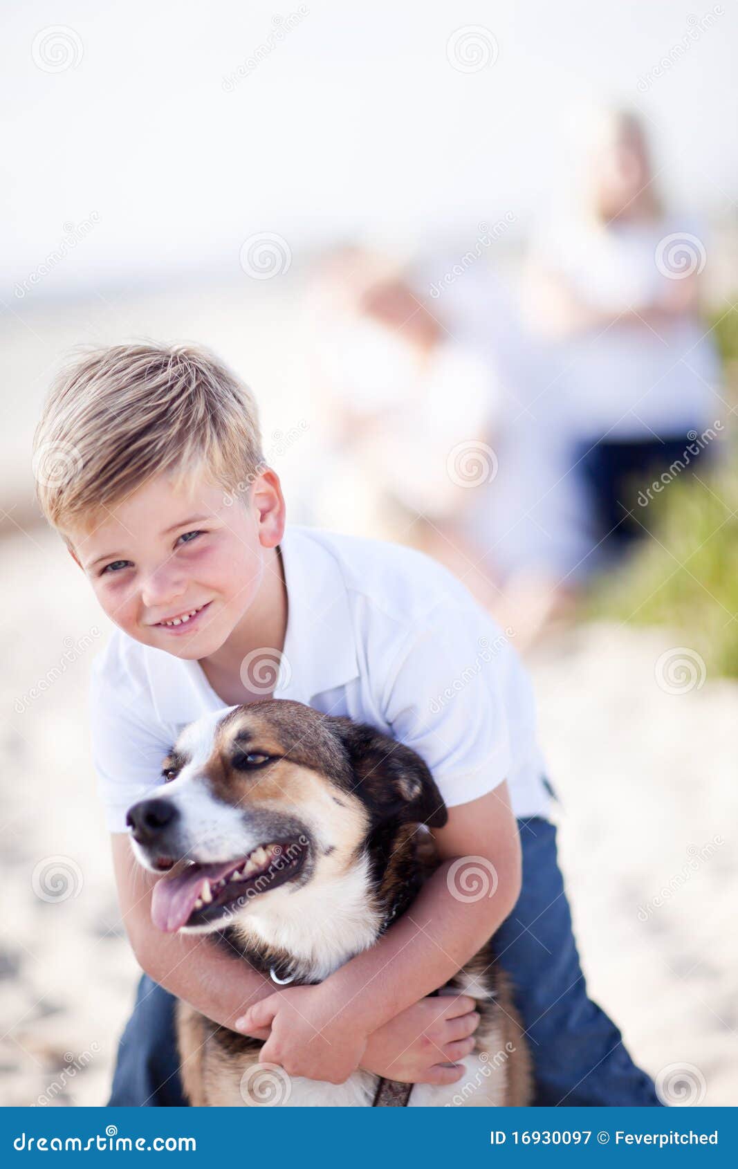 Muchacho Joven Hermoso Que Juega Con Su Perro Imagen de archivo ...