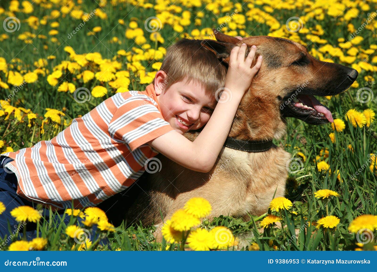 Muchacho, Perro Y Prado Amarillo. Imagen de archivo - Imagen de poco ...