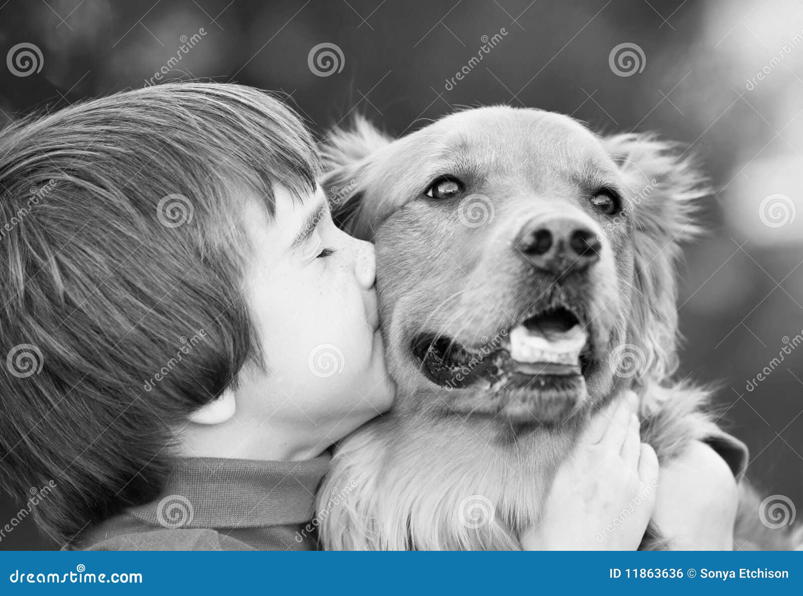 Muchacho que besa el perro foto de archivo. Imagen de felicidad - 11863636