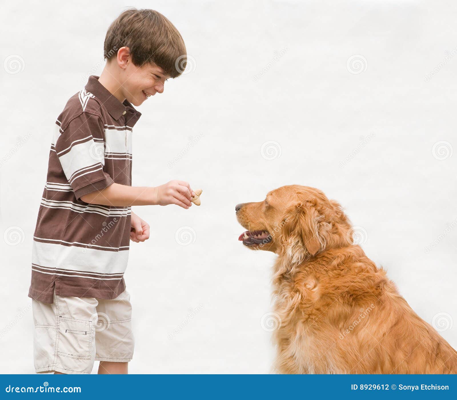 Muchacho Que Da a Perro Una Recompensa Foto de archivo - Imagen de ...