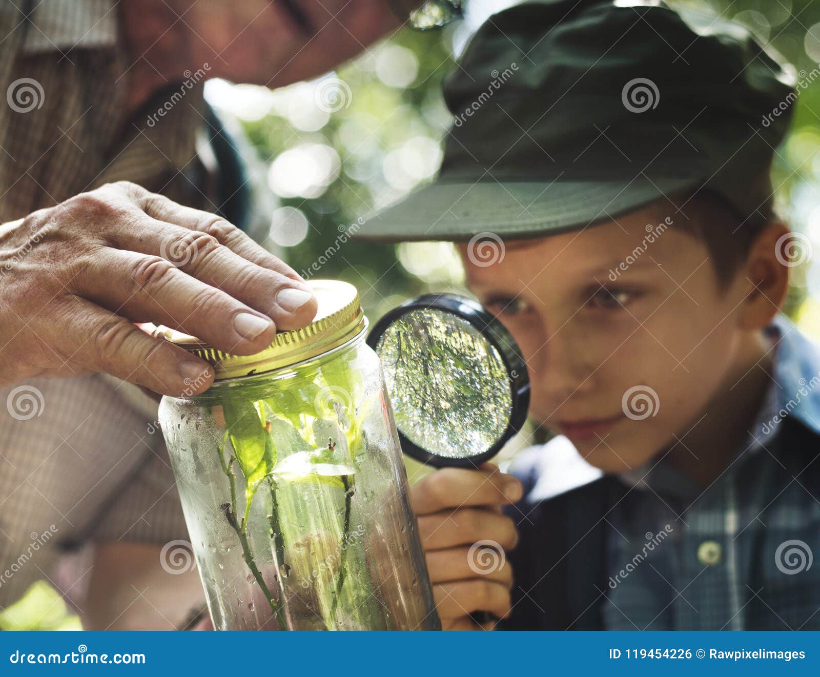 Muchacho Que Examina Una Planta Con Una Lupa Foto de archivo - Imagen ...