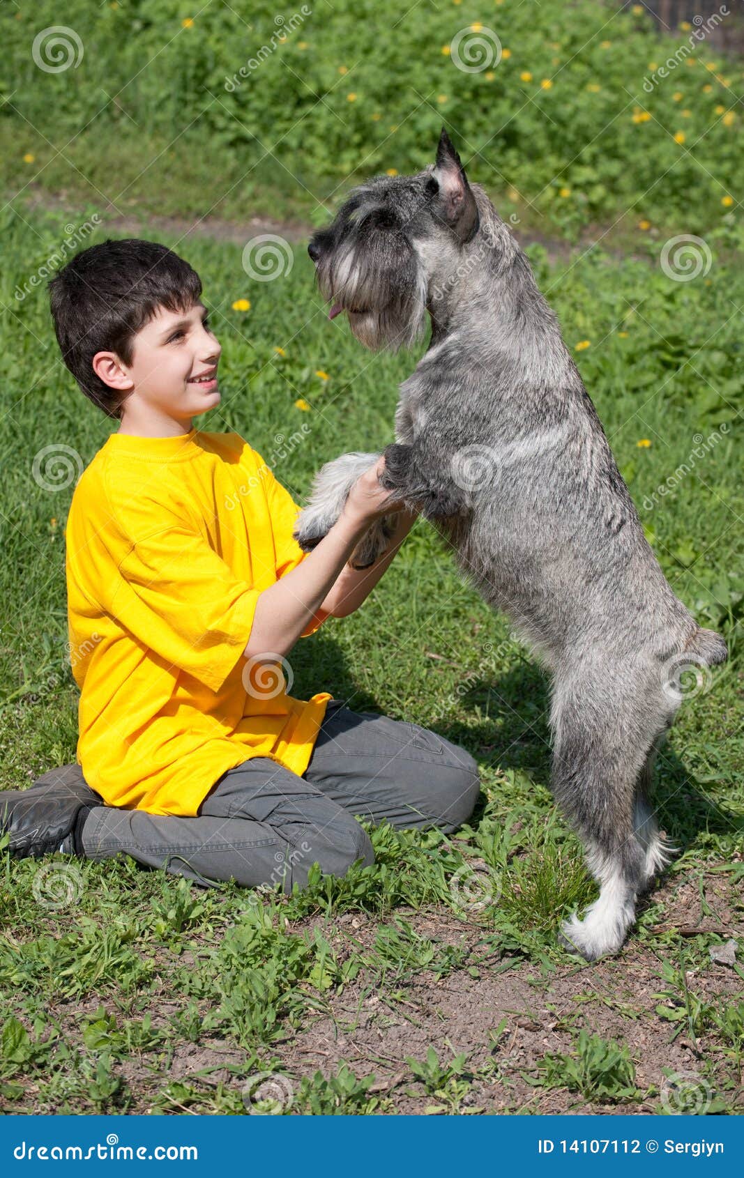 Muchacho y perro foto de archivo. Imagen de muchacho - 14107112