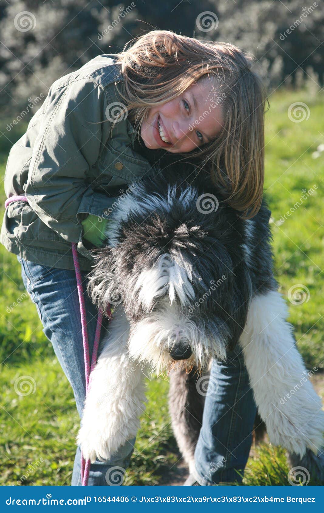 Muchacho y perro foto de archivo. Imagen de amor, perro - 16544406
