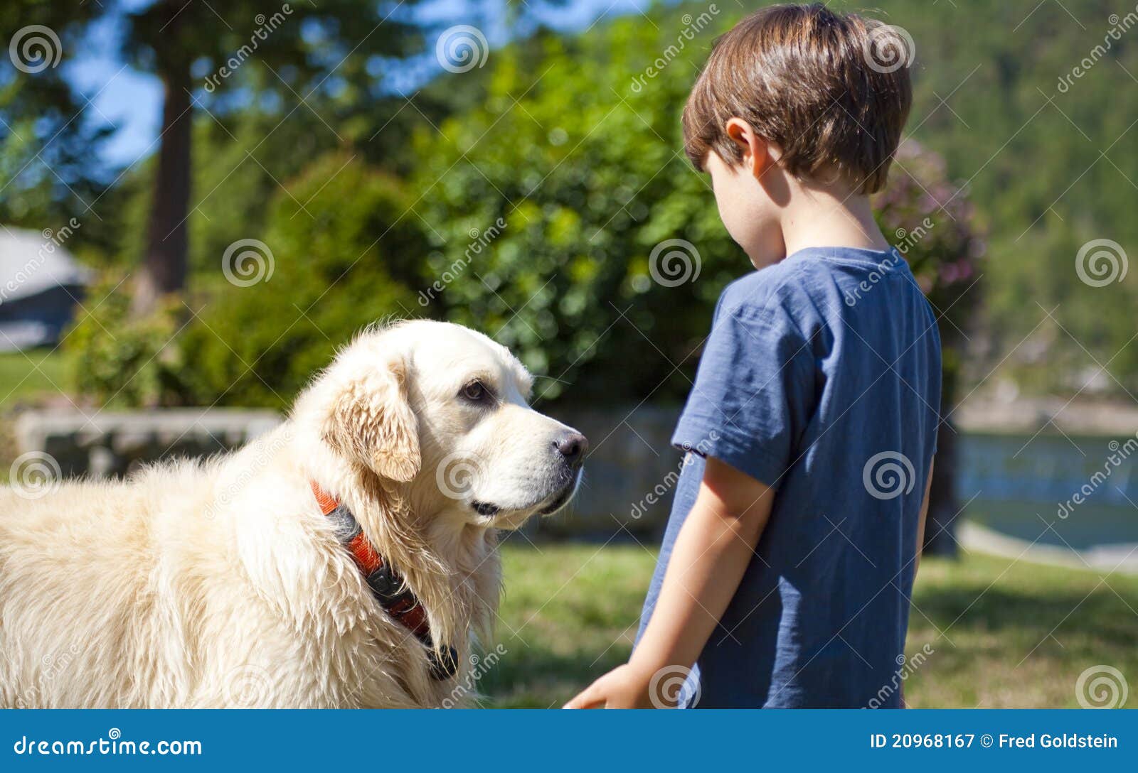 Muchacho y perro imagen de archivo. Imagen de afuera - 20968167
