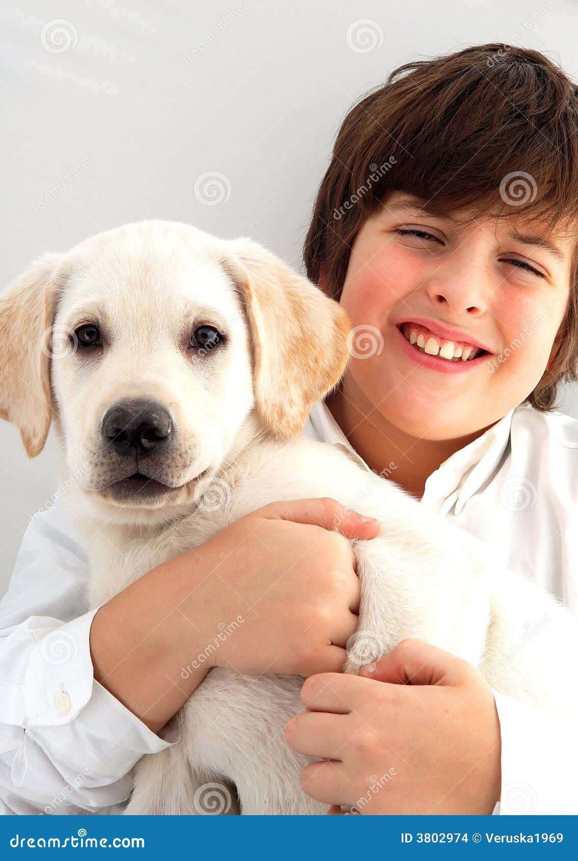 Muchacho y perro foto de archivo. Imagen de perro, canino - 3802974