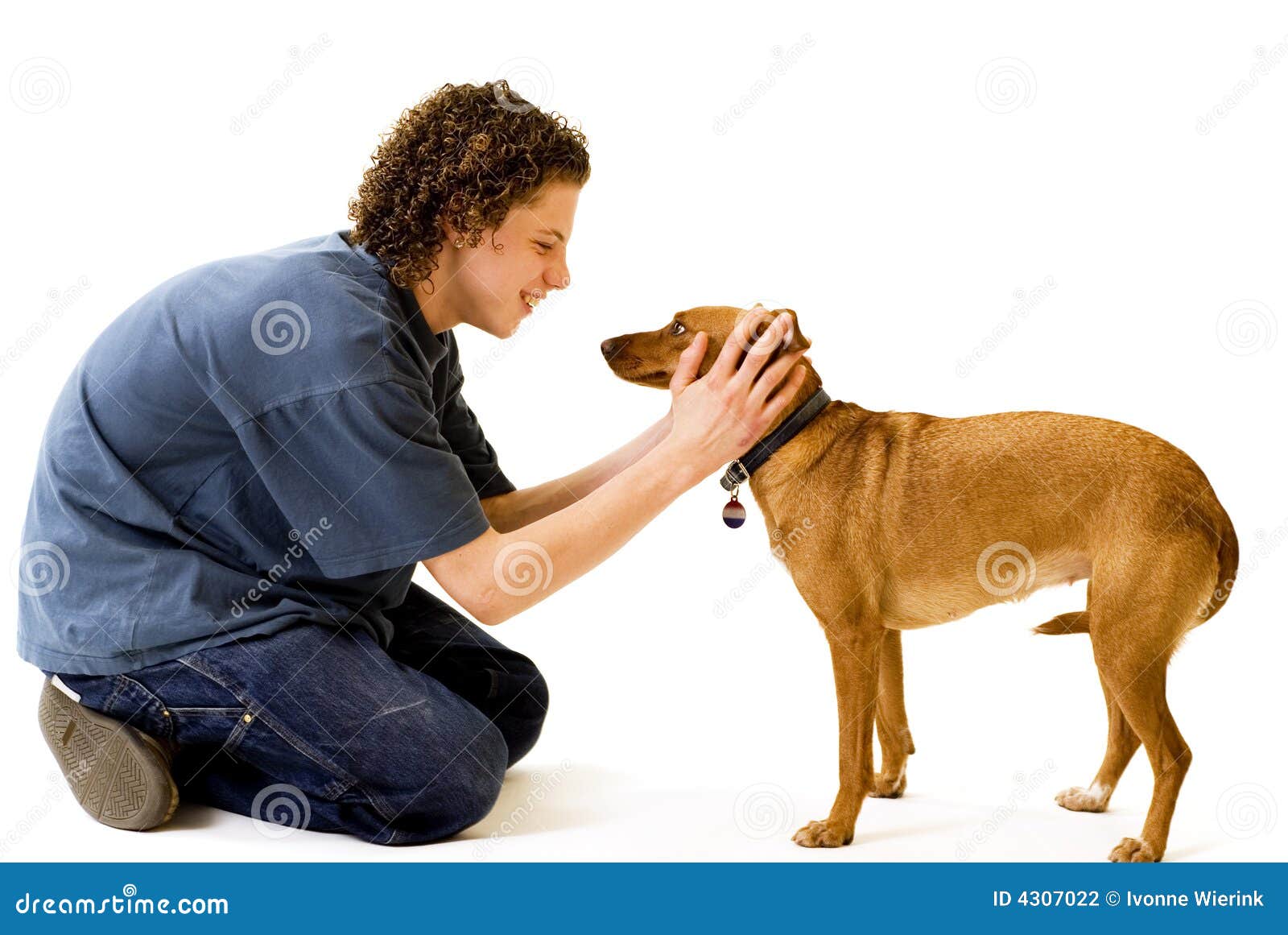 Muchacho y perro foto de archivo. Imagen de cierre, rizado - 4307022
