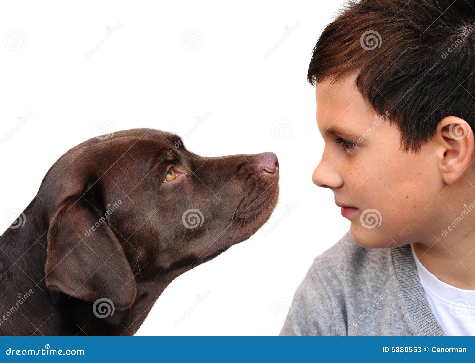 Muchacho Y Perro Imagen. Imagen: 6880553