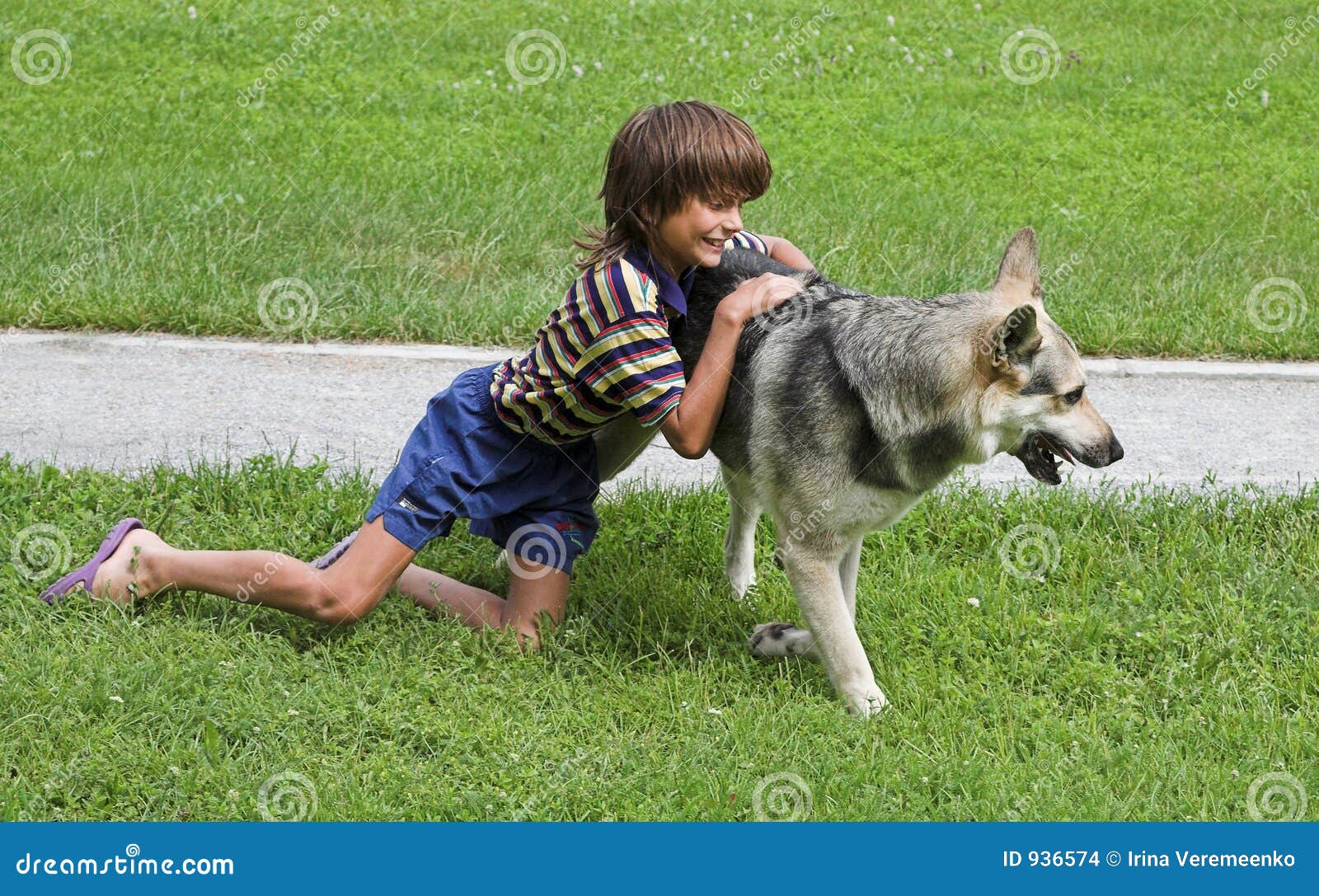 Muchacho y perro foto de archivo. Imagen de alegre, muchacho - 936574