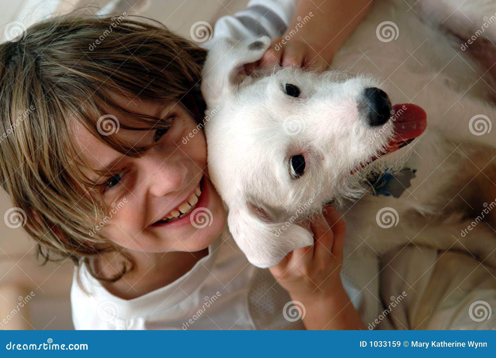 Muchacho y su perro imagen de archivo. Imagen de perro - 1033159