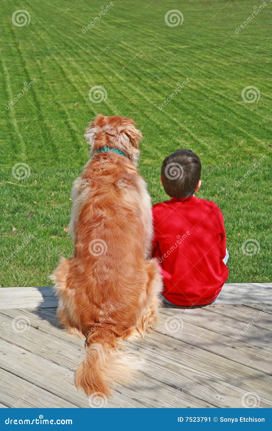 Muchacho y su perro imagen de archivo. Imagen de perro - 7523791
