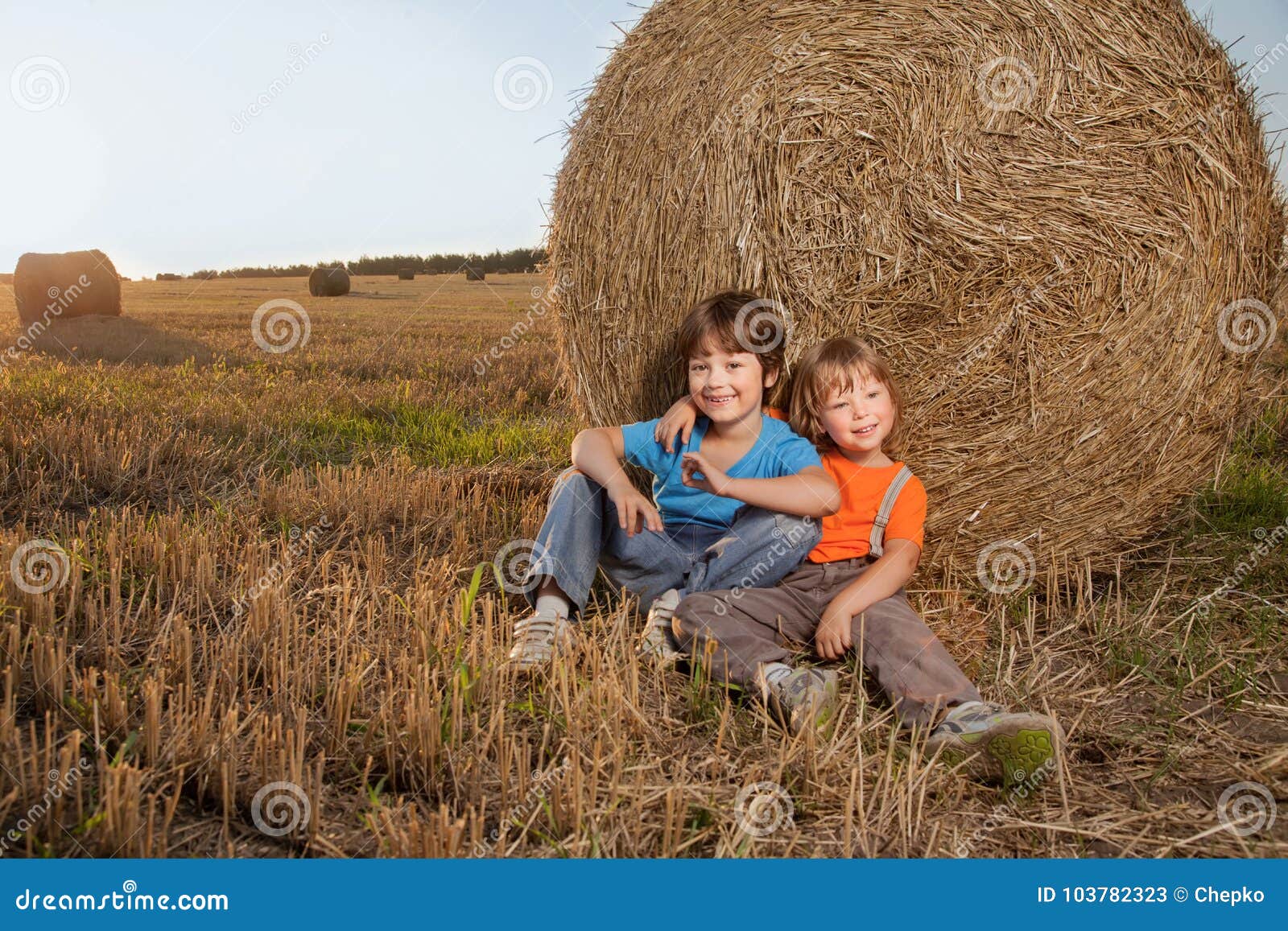 2 Muchachos En Un Pajar En El Campo Imagen de archivo - Imagen de ...