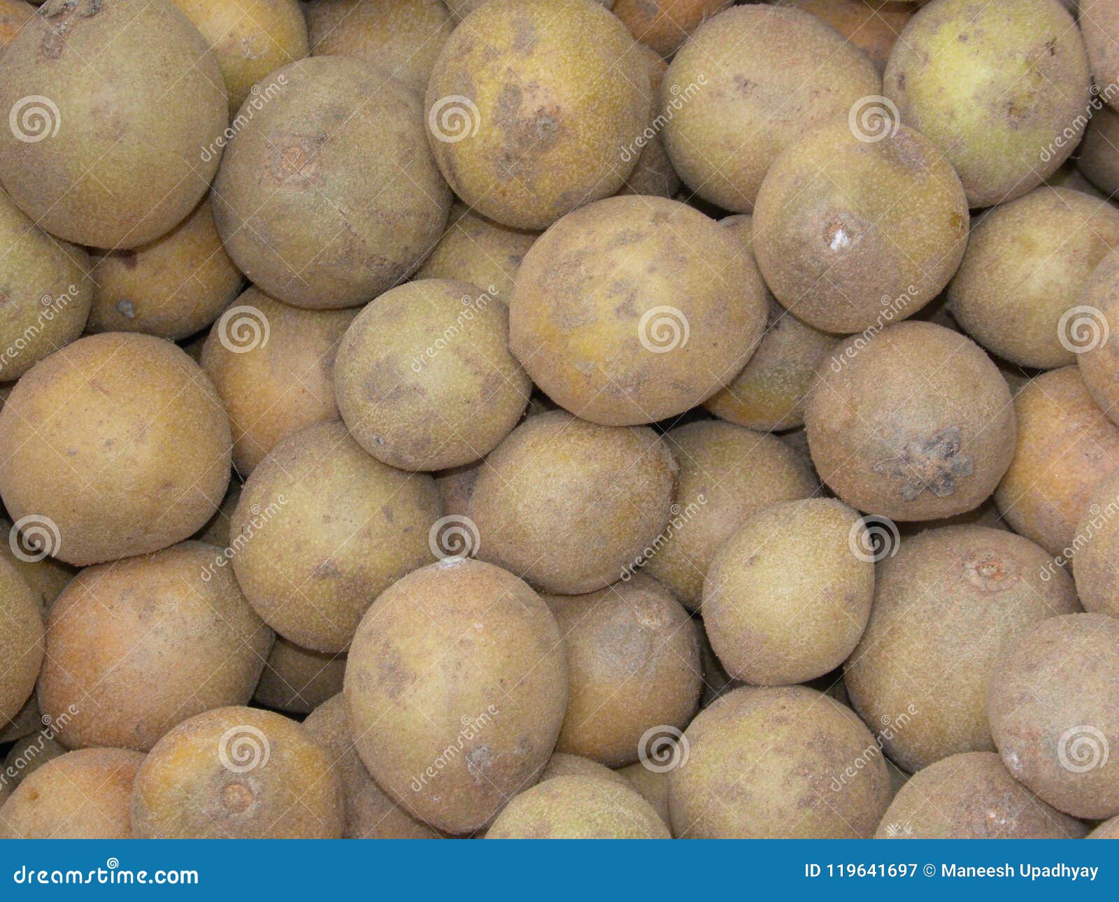 Muchas Frutas Marrones Del Zapote Del Color Imagen de archivo - Imagen ...