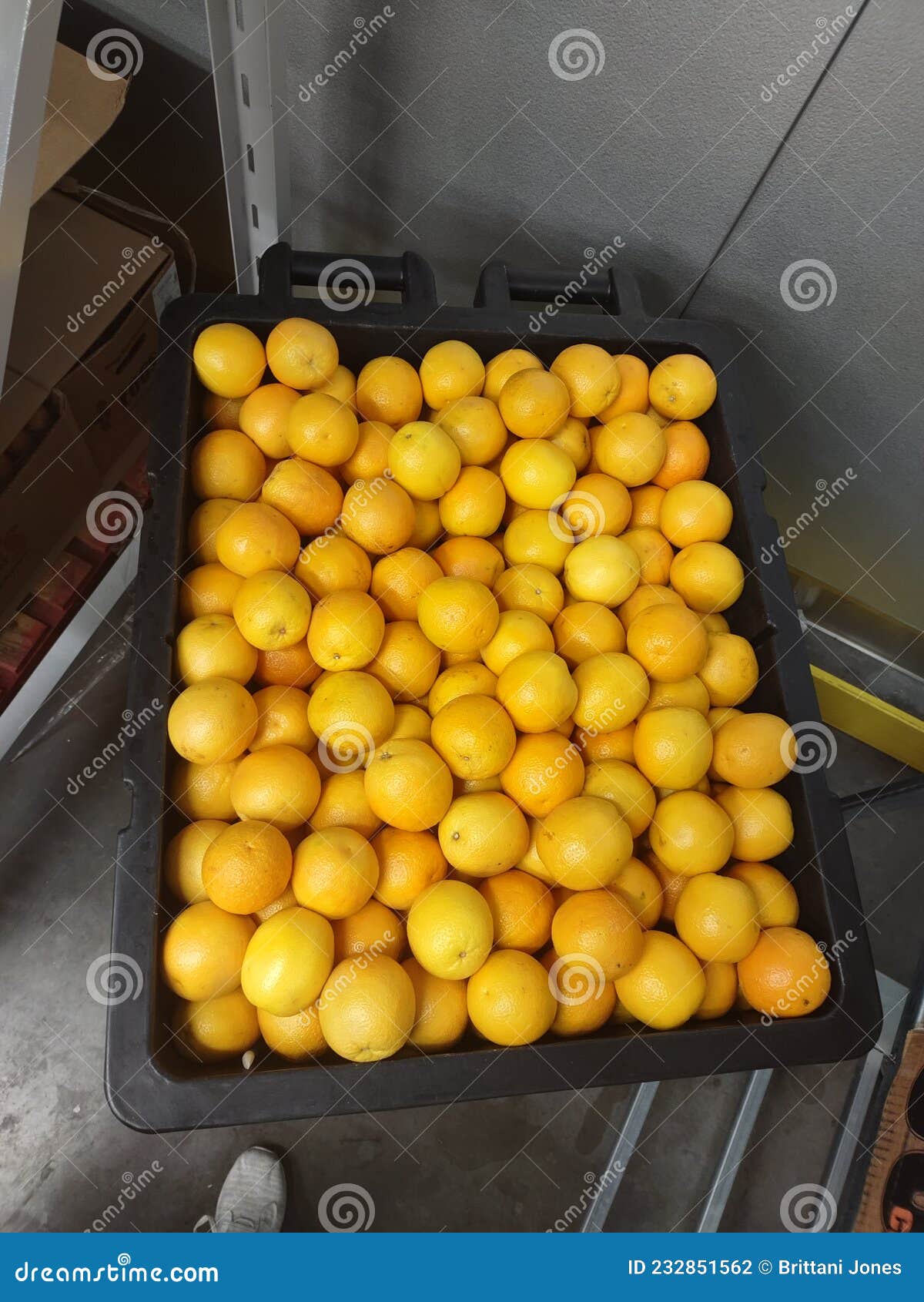 Muchas naranjas foto de archivo. Imagen de naranjas - 232851562