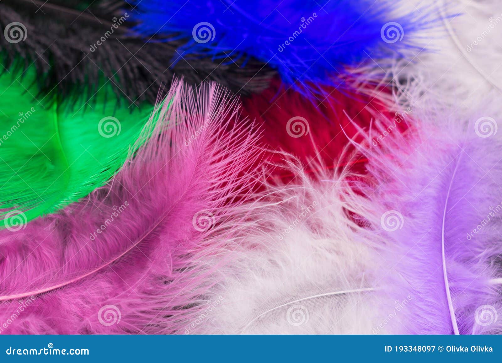 Muchas Plumas Multicolores. Fondo De Plumas Pintadas. Imagen de archivo ...