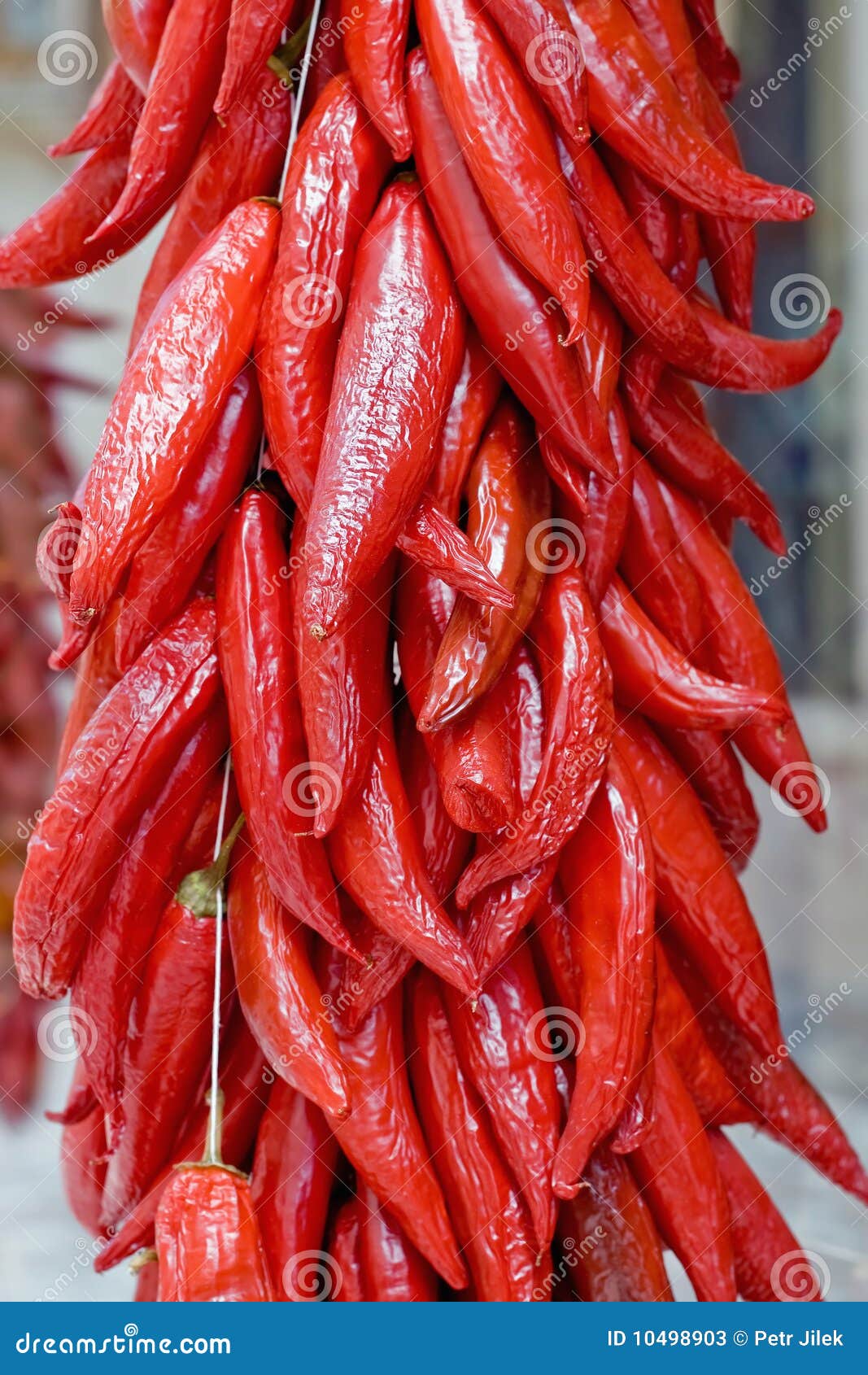 Muchos Chiles Rojos Picantes Imagen de archivo - Imagen de comer ...
