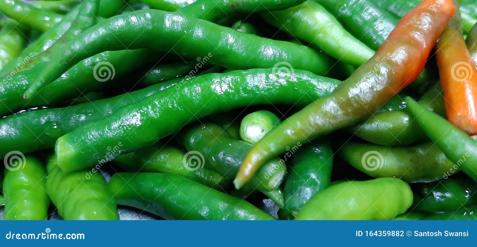 Muchos Chiles Verdes Tan Picantes Foto de archivo - Imagen de foco ...