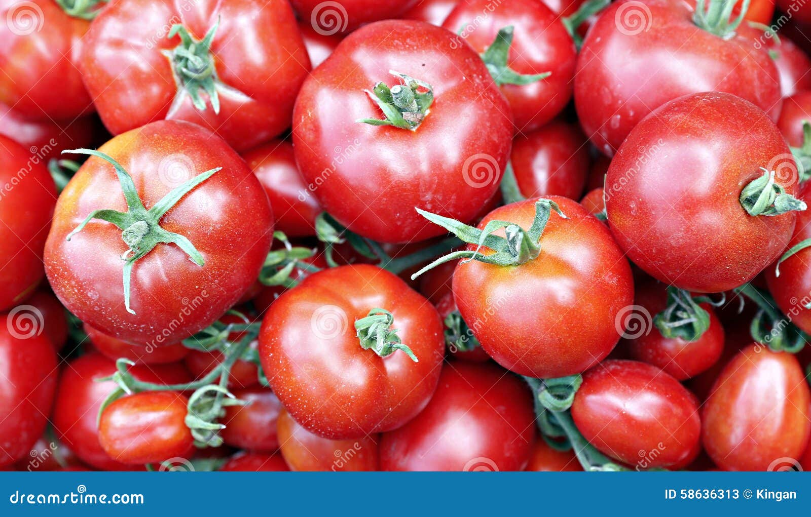 Muchos De Tomates Rojos Maduros Jugosos Imagen de archivo - Imagen de ...