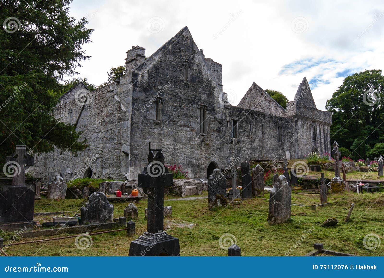 Muckross Abbey Killarney stock photo. Image of lough - 79112076