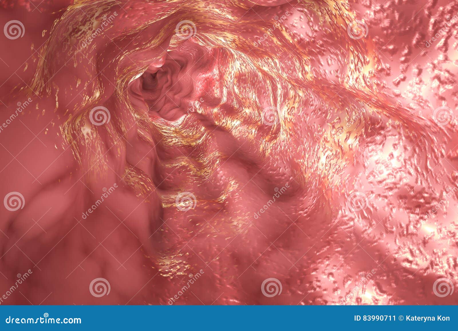 Mucosa Dell'esofago E Sfintere Esofageo Illustrazione di Stock ...