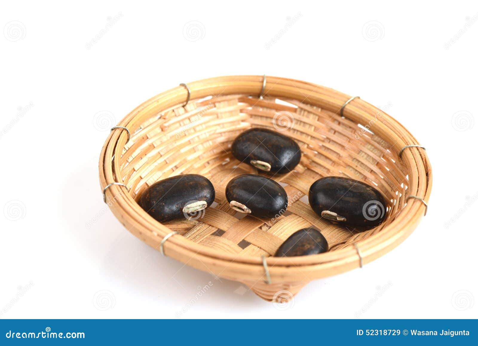 Mucuna pruriens DC., Seeds stock image. Image of dopa - 52318729