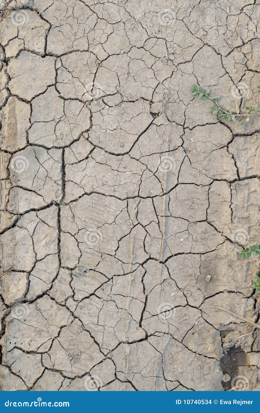 Mud stock photo. Image of surface, close, texture, pattern - 10740534
