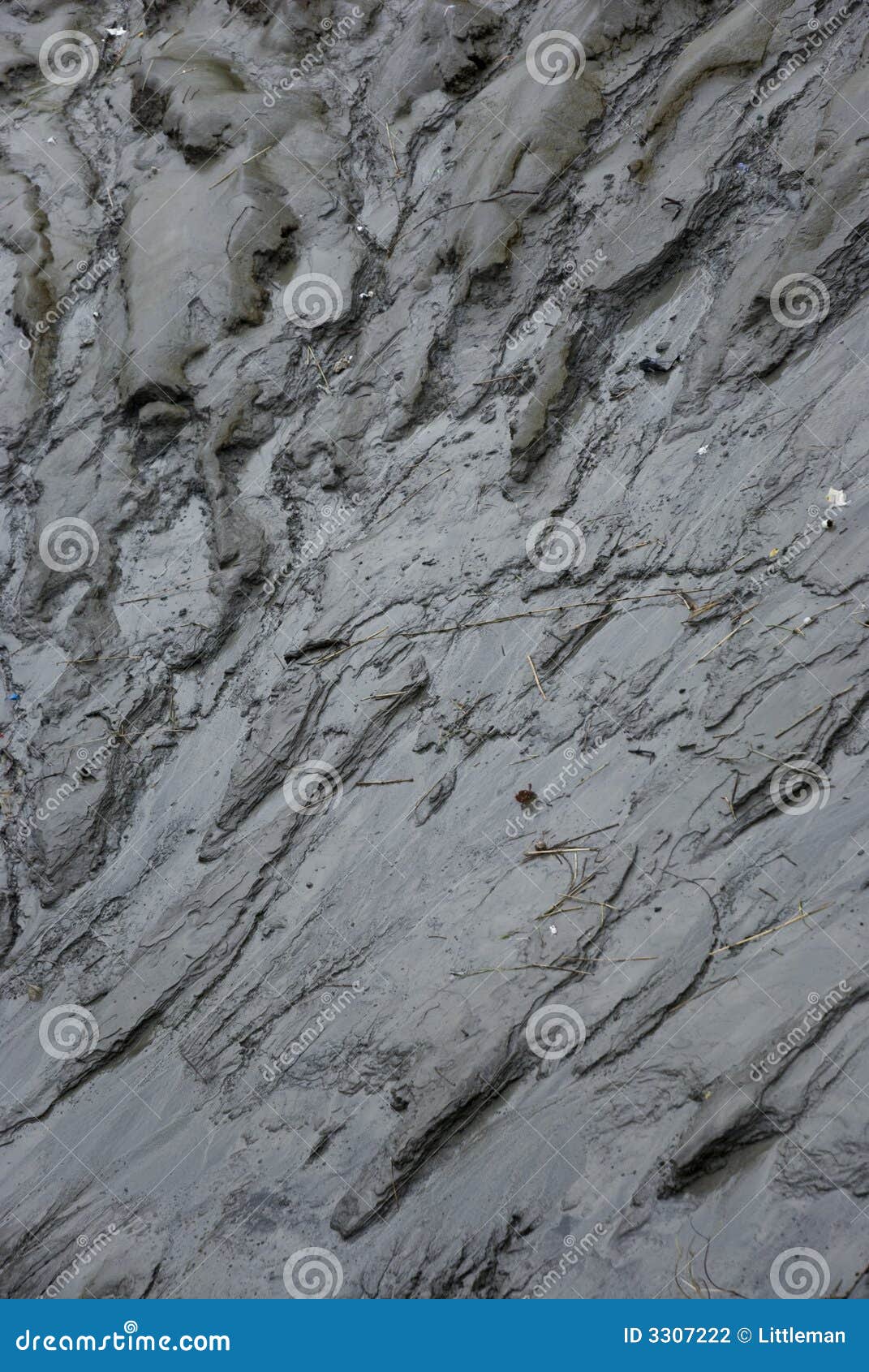 Mud stock photo. Image of muddy, environment, mars, background - 3307222