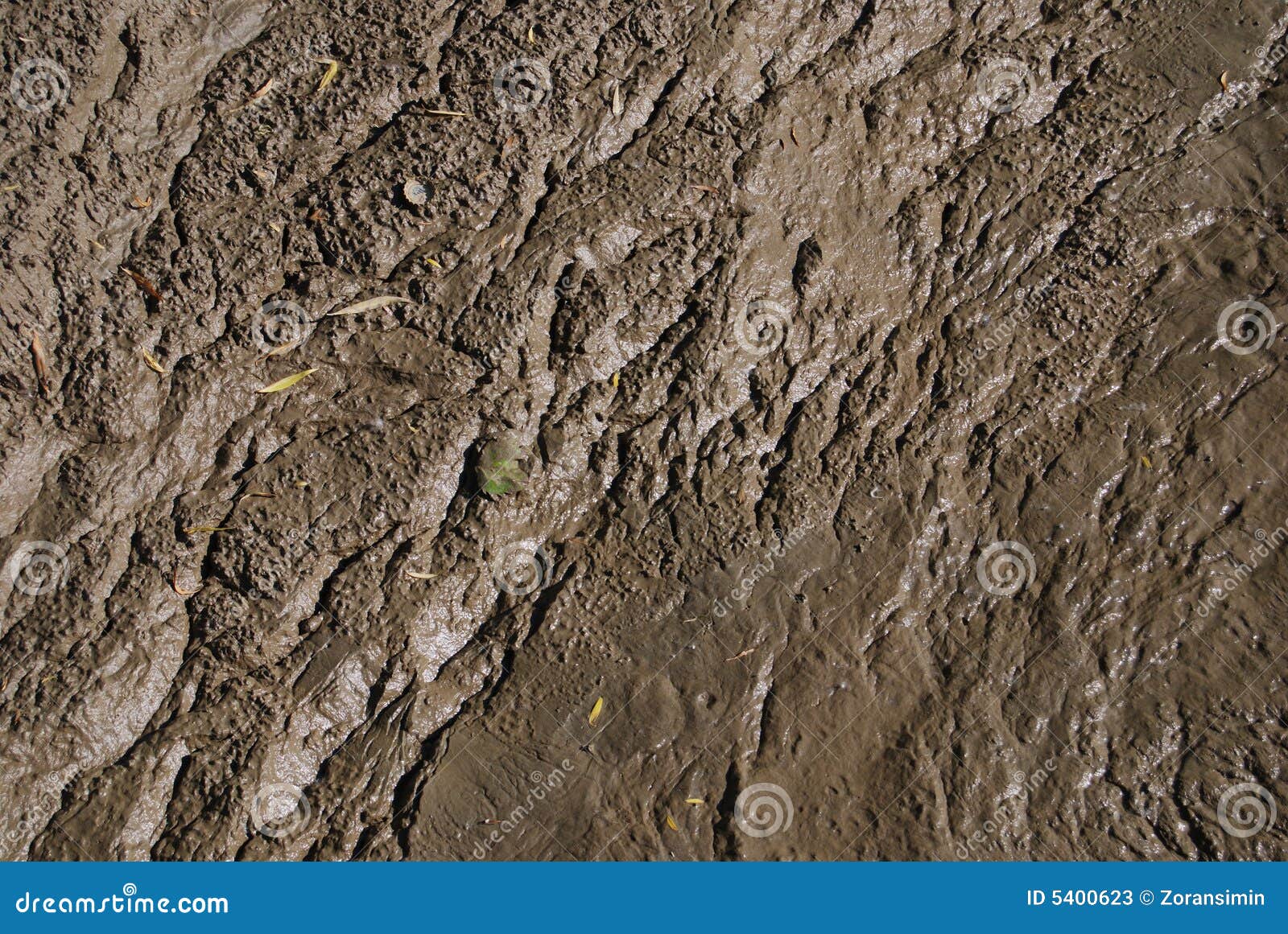 Mud stock image. Image of river, textural, rough, background - 5400623