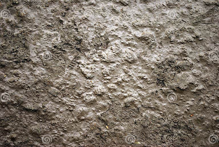 Mud stock photo. Image of skin, muddy, damp, ooze, background - 5676184