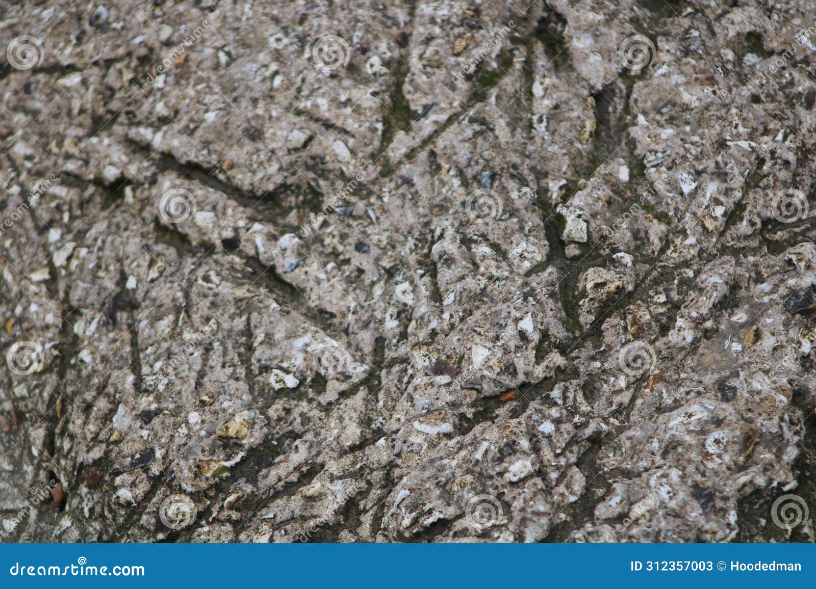 Mud Abstract stock image. Image of print, prints, ground - 312357003