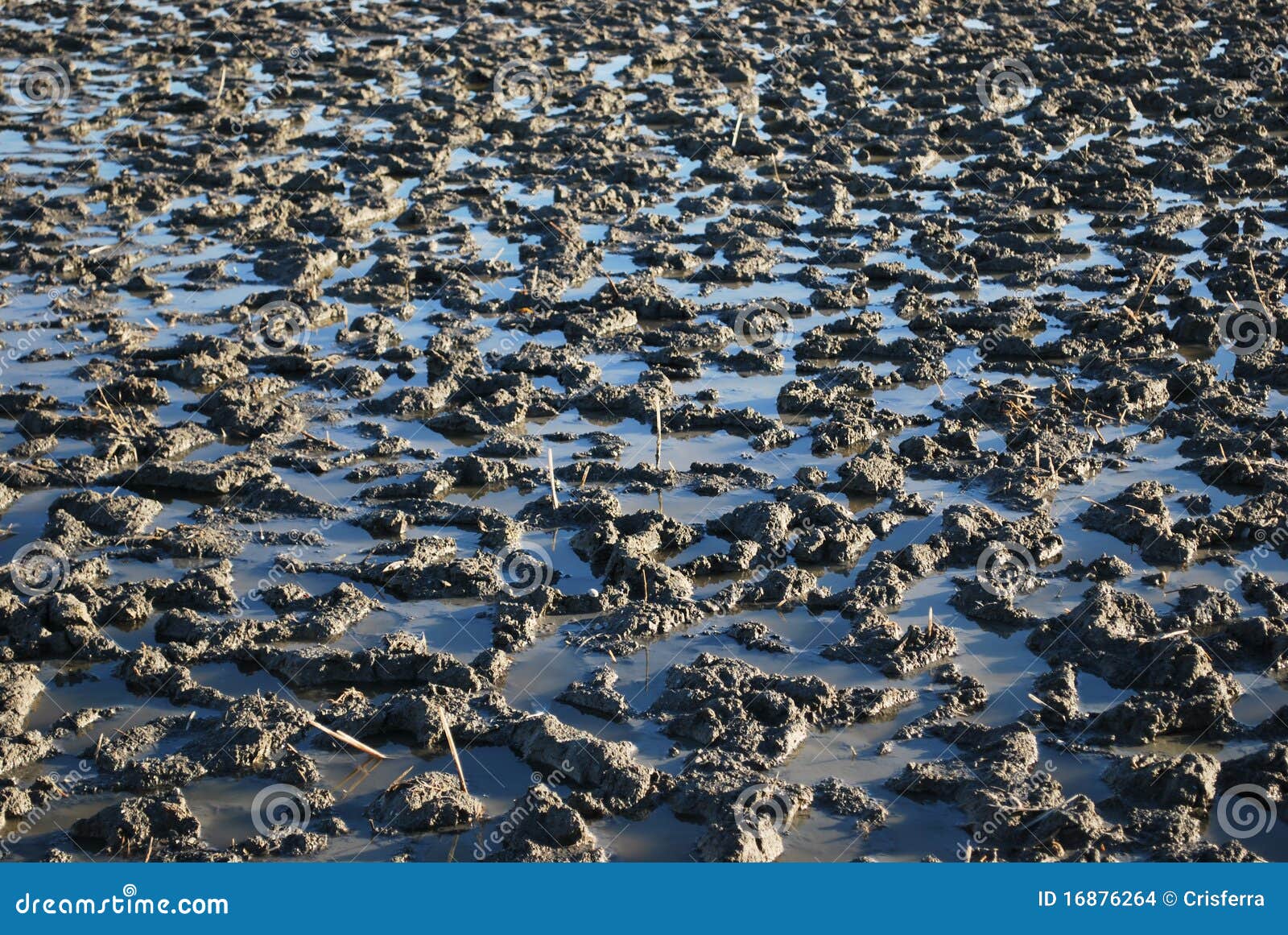 Mud background stock photo. Image of weather, dirty, land - 16876264