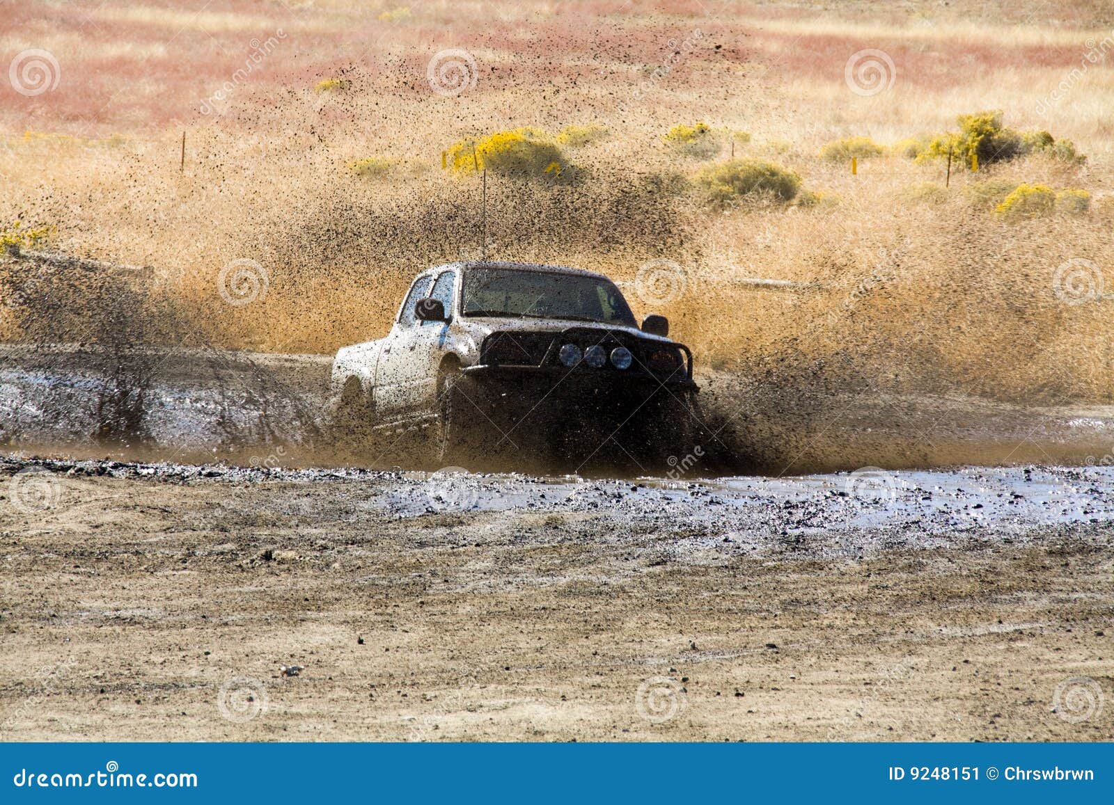 Mud Bath stock image. Image of water, fast, swamp, splash - 9248151