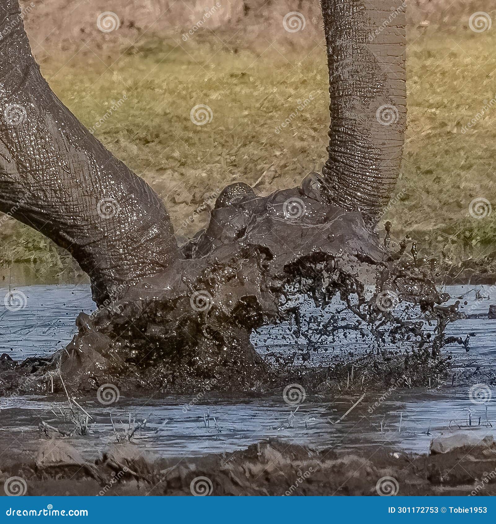 Mud bath in shallow water stock image. Image of tourism - 301172753