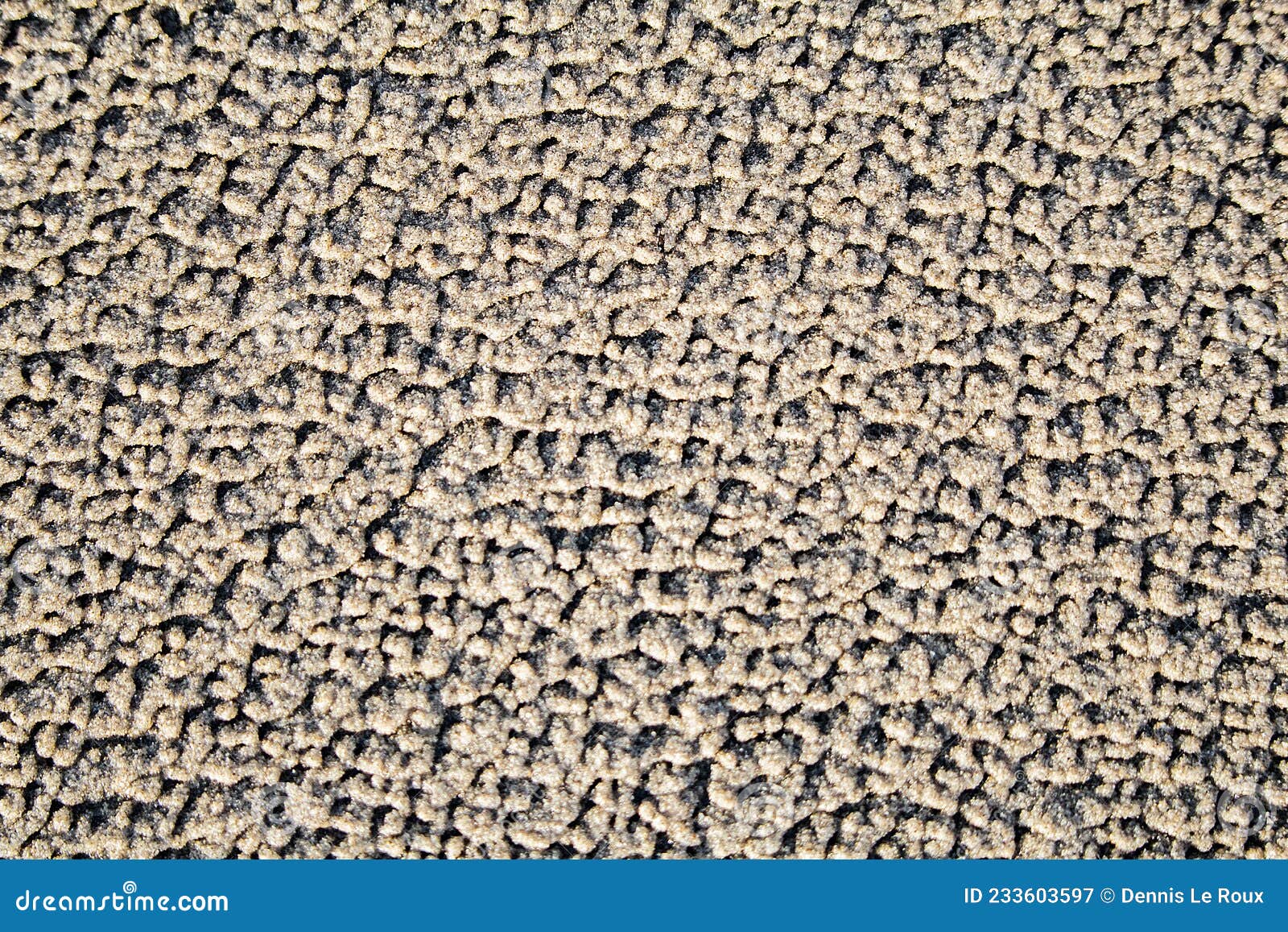 Mud beach sand detail stock image. Image of geology - 233603597