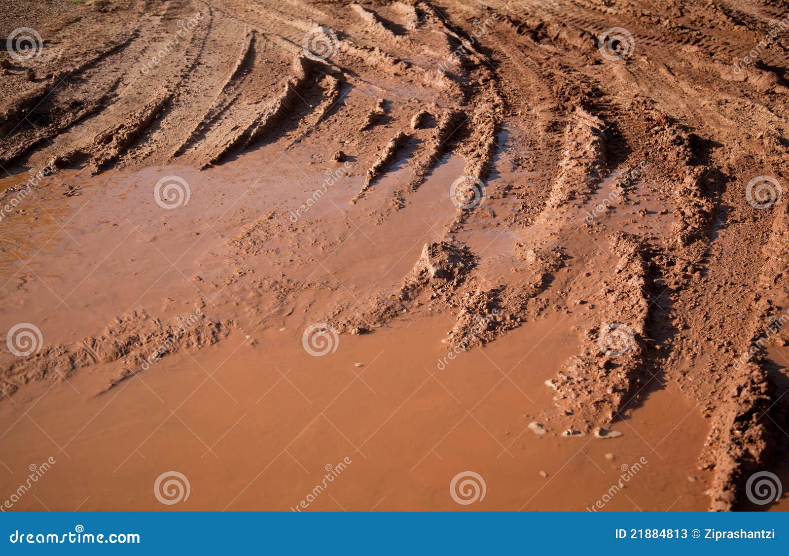 Mud bike tracks texture stock image. Image of skin, traces - 21884813