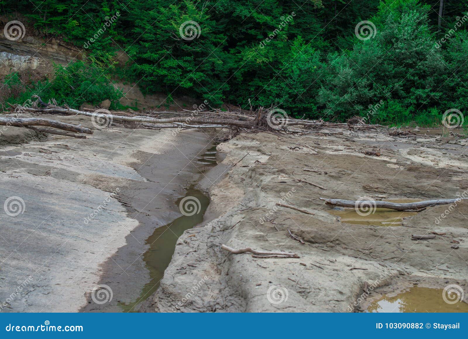 Mud Bottom Shallow during the Dry Period of the River Stock Photo ...