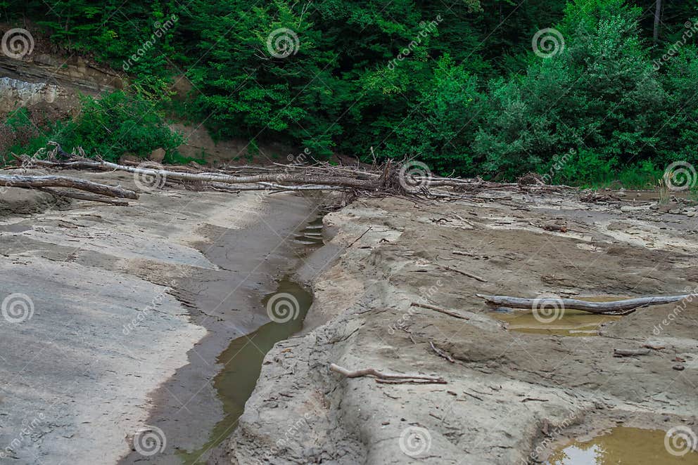 Mud Bottom Shallow during the Dry Period of the River Stock Photo ...