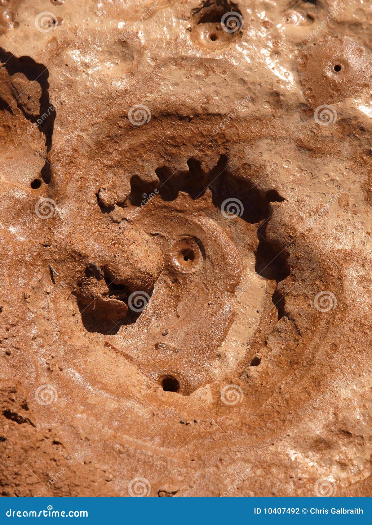 Mud bubbles stock photo. Image of closeup, gases, nature - 10407492