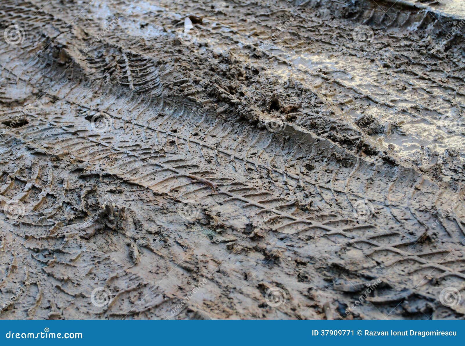 Mud Car Tracks Detail stock image. Image of dirt, patterns - 37909771
