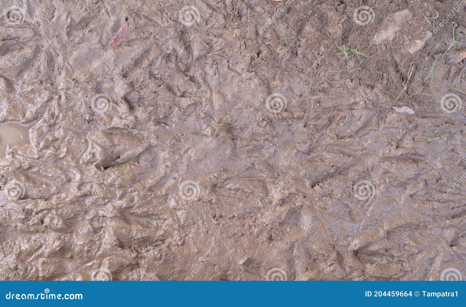 Mud Clay Ground Pattern Texture Wet Background. Brown Dirty Muck Road ...