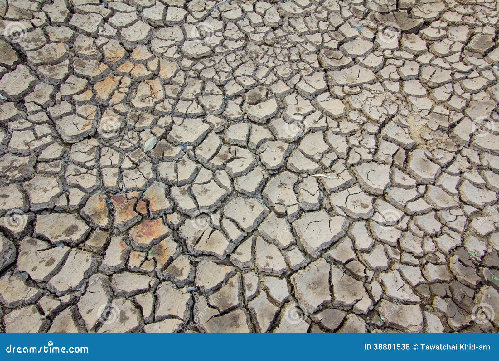 Mud crack stock photo. Image of environment, texture - 38801538