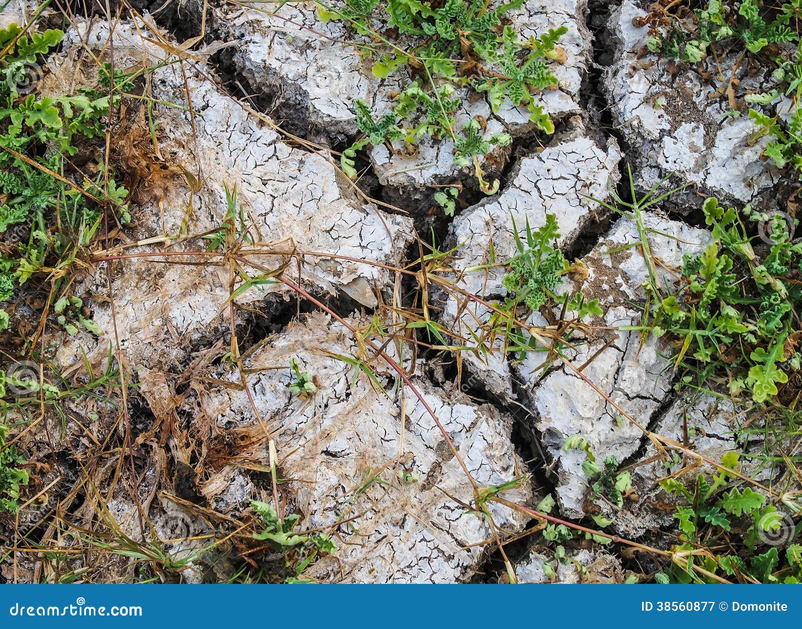 Mud crack stock image. Image of abstract, background - 38560877