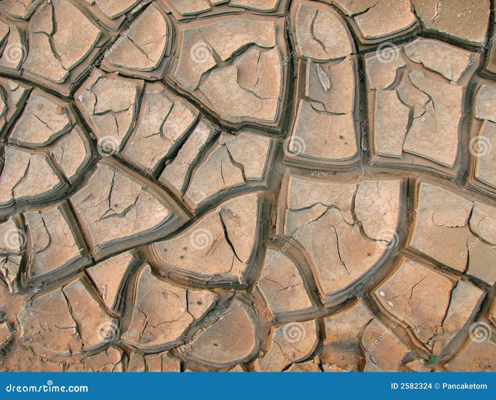 Mud-cracks stock photo. Image of broken, parched, crack - 2582324