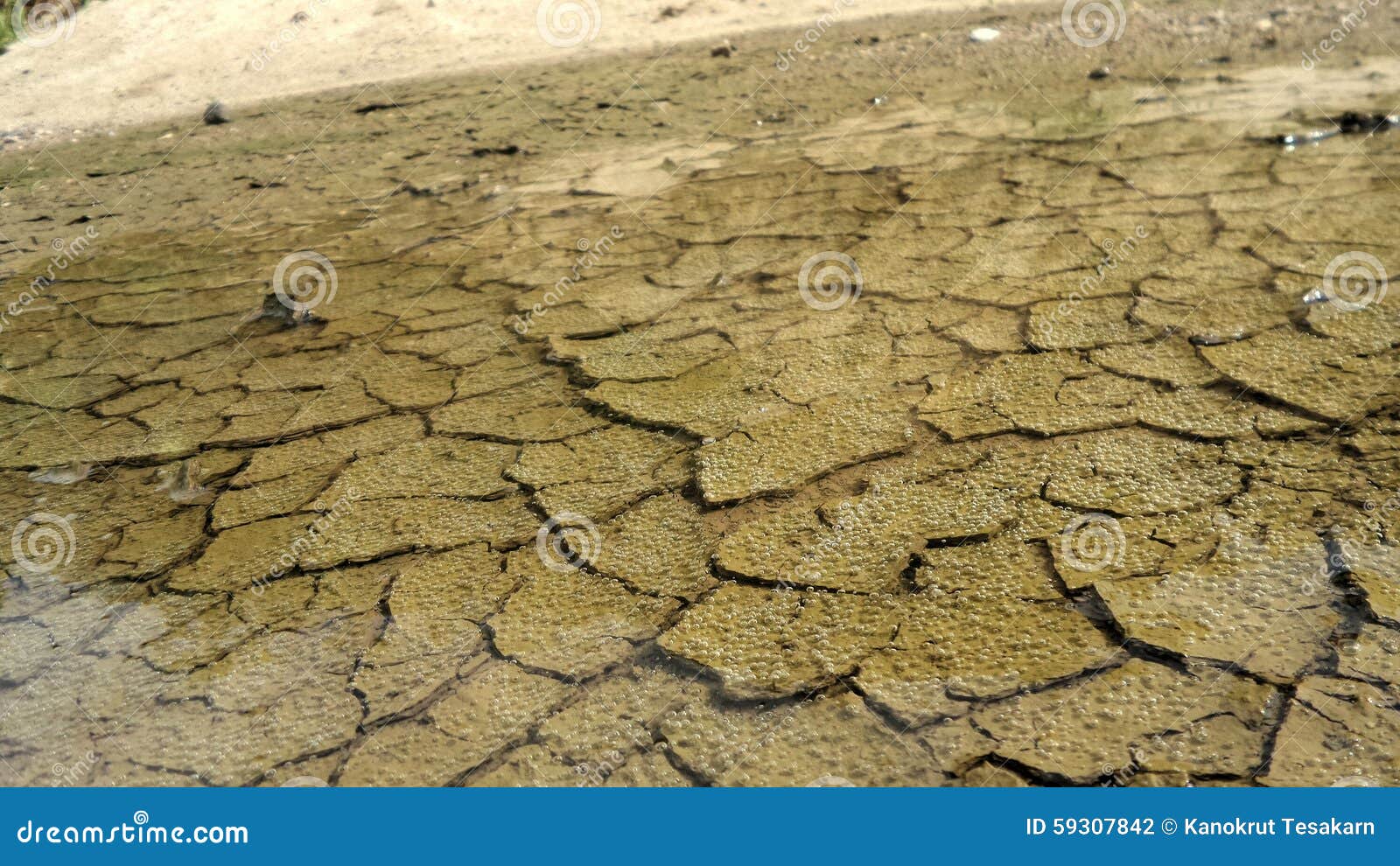 Mud Cracks and Small Bubbles Stock Photo - Image of formation, result ...