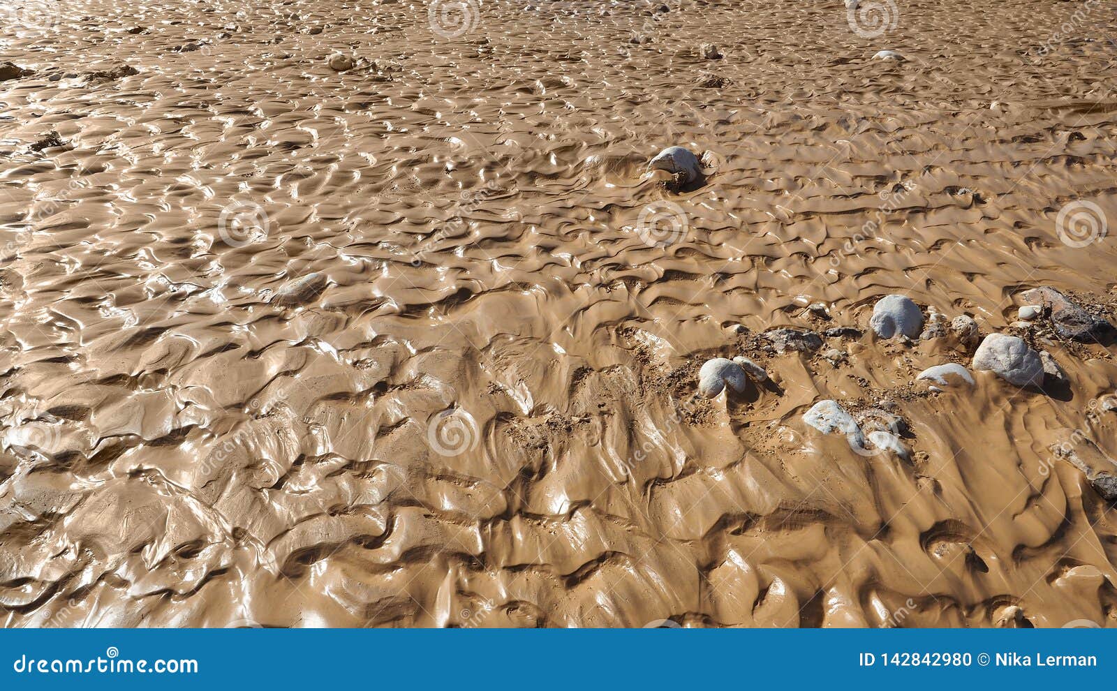 Mud in the Desert after Rain Stock Photo - Image of sand, dirt: 142842980